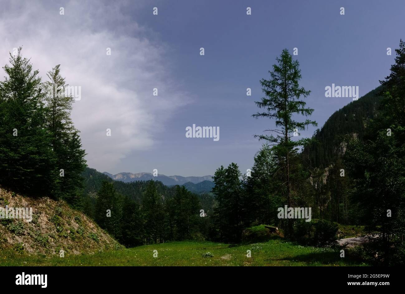 nice place with green meadow trees and mountains while hiking on ...