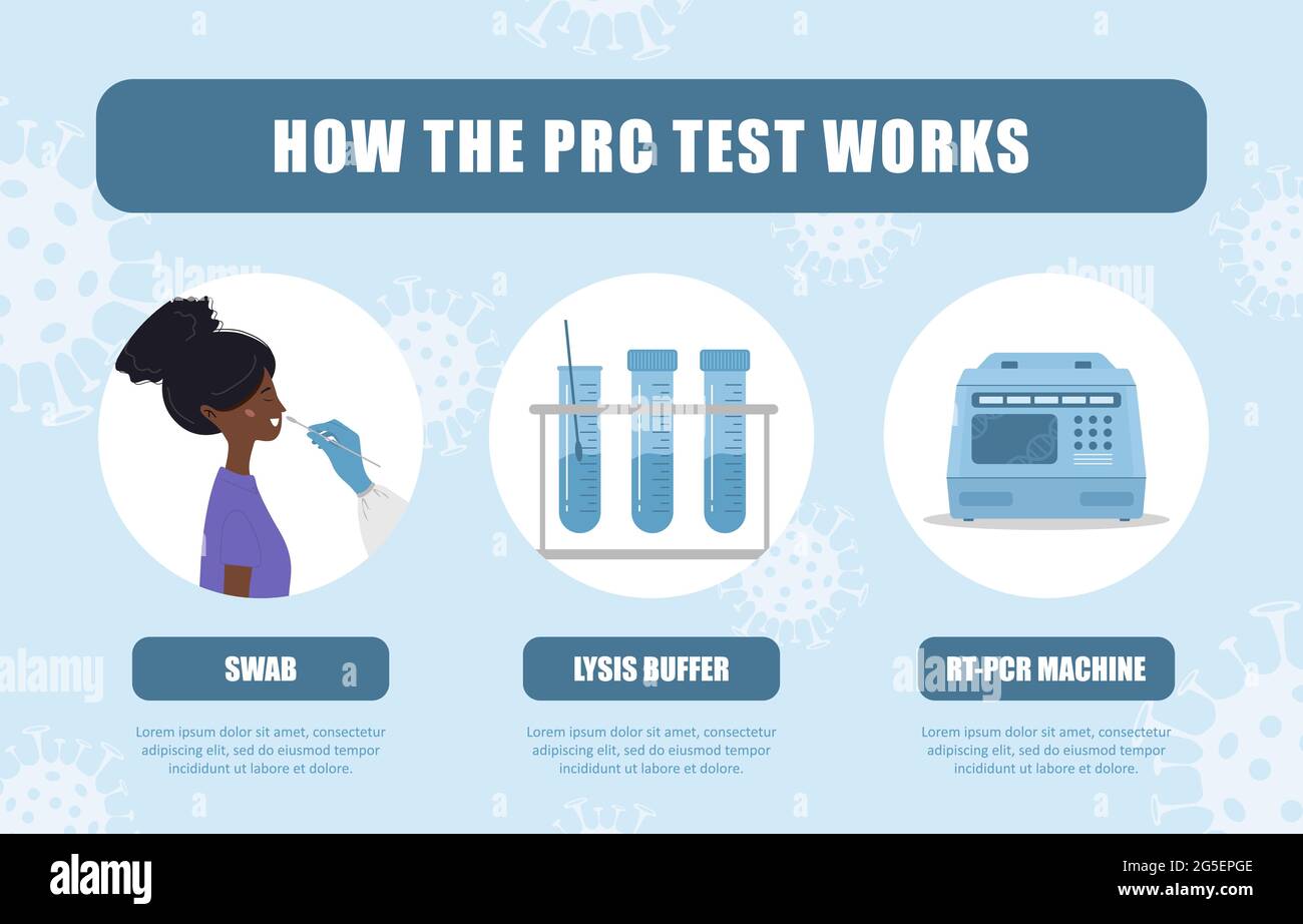 How PCR test works. Nasal swab laboratory analysis of biomaterial ...