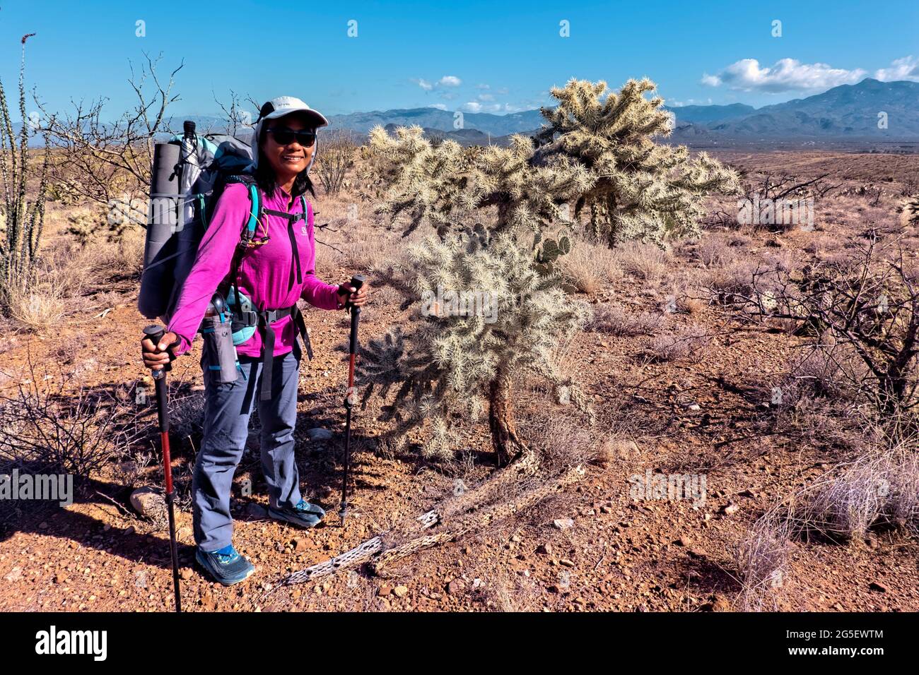 Cactus hiking trail hi-res stock photography and images - Alamy