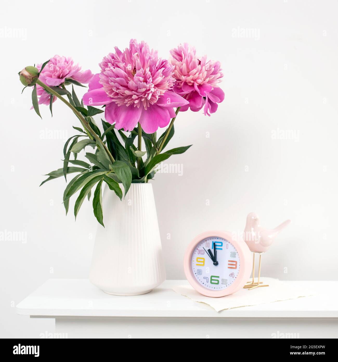 Red, pink peonies in a white vase on an table against a white wall ...