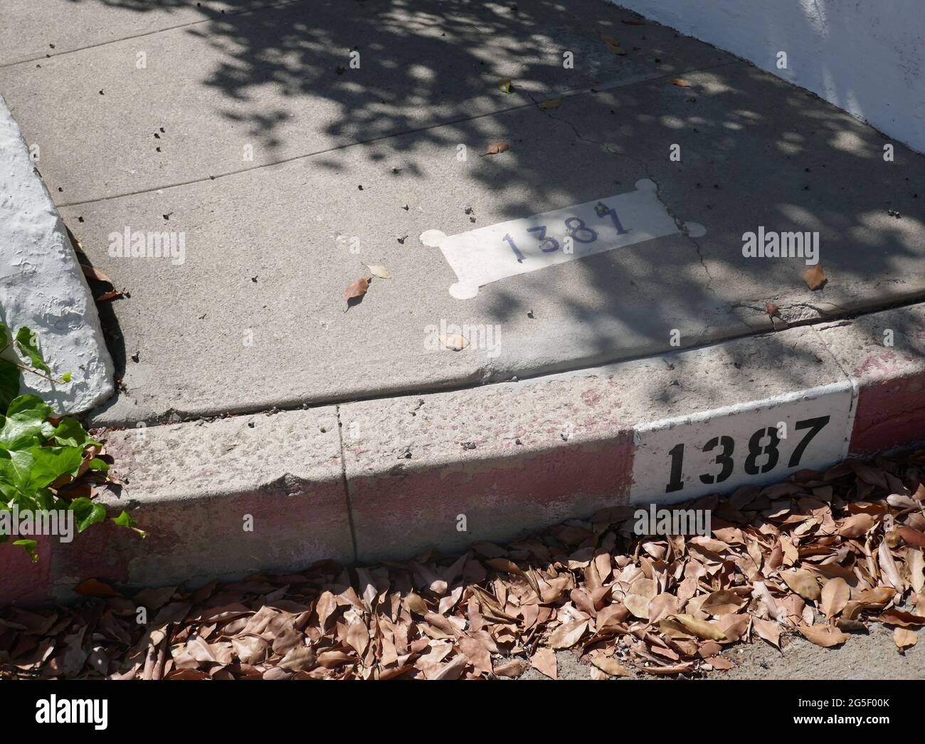 Los Angeles, California, USA 26th June 2021 A general view of ...