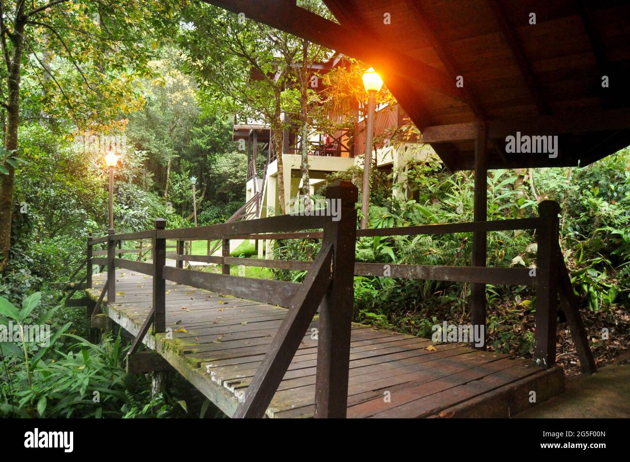 Patio exterior design terrace outdoor and wood bridge footpath for ...