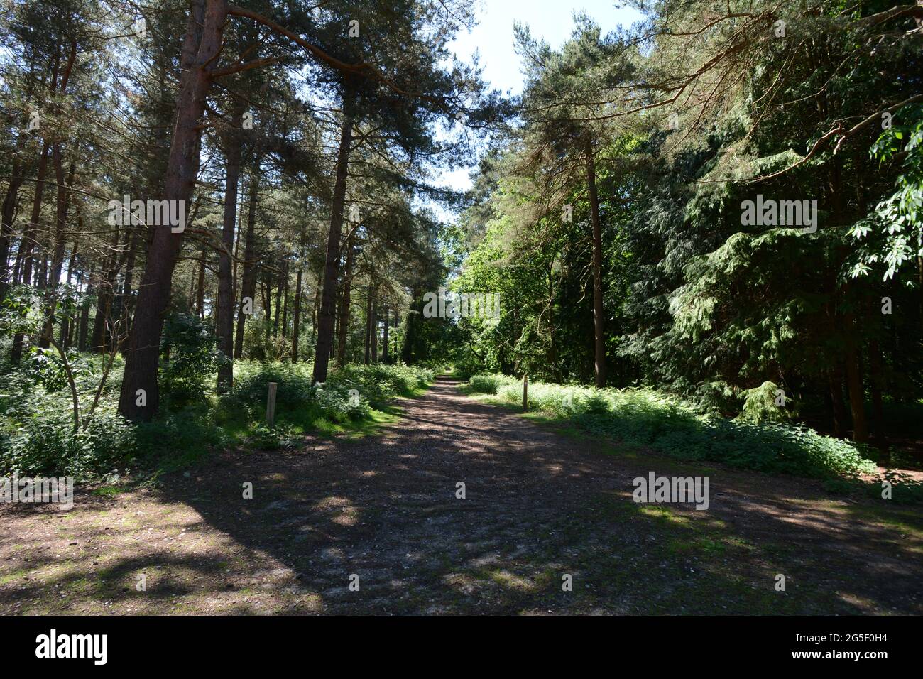 Rendlesham 1980 hi-res stock photography and images - Alamy