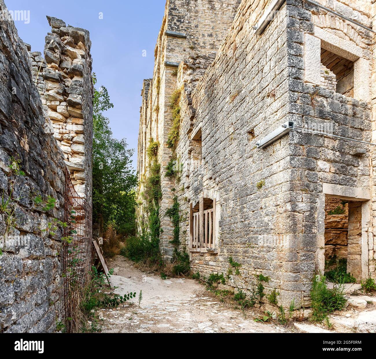 Castle Dvigrad in Istria, Croatia. Picturesque ruins Stock Photo - Alamy