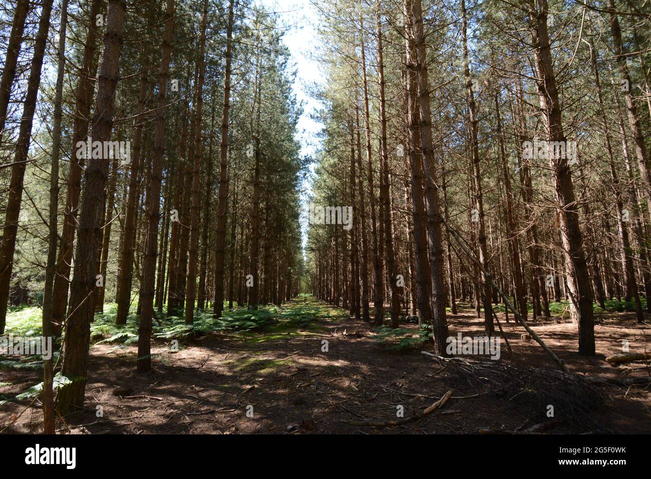 Lieutenant colonel charles halt hi-res stock photography and images - Alamy