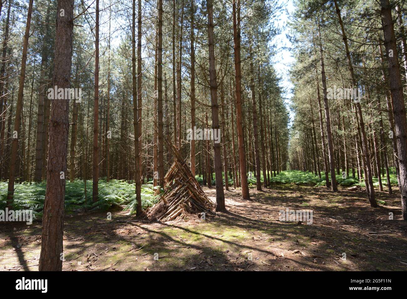 Rendlesham Forest Ufo High Resolution Stock Photography and Images - Alamy