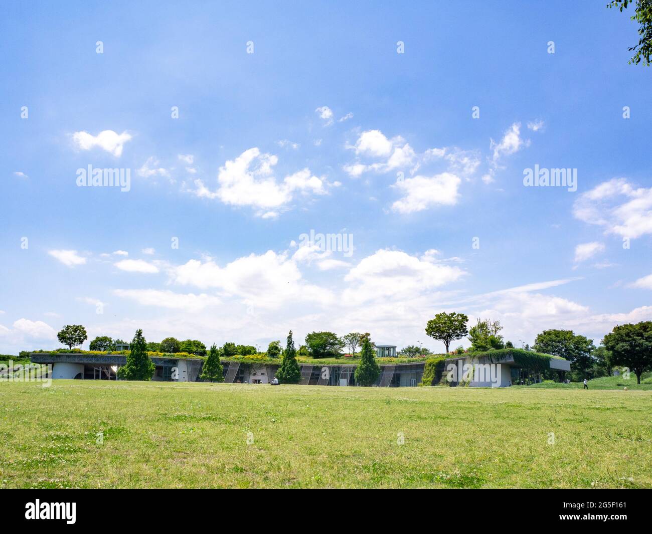 A beautiful scenery in a greenfield in a ranch under a blue sky Stock ...