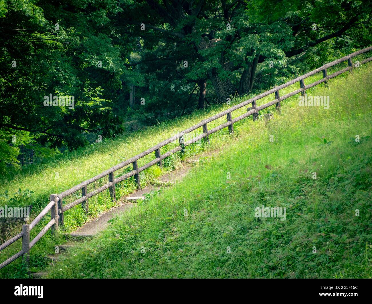 Pathway plants in farm day hi-res stock photography and images - Alamy