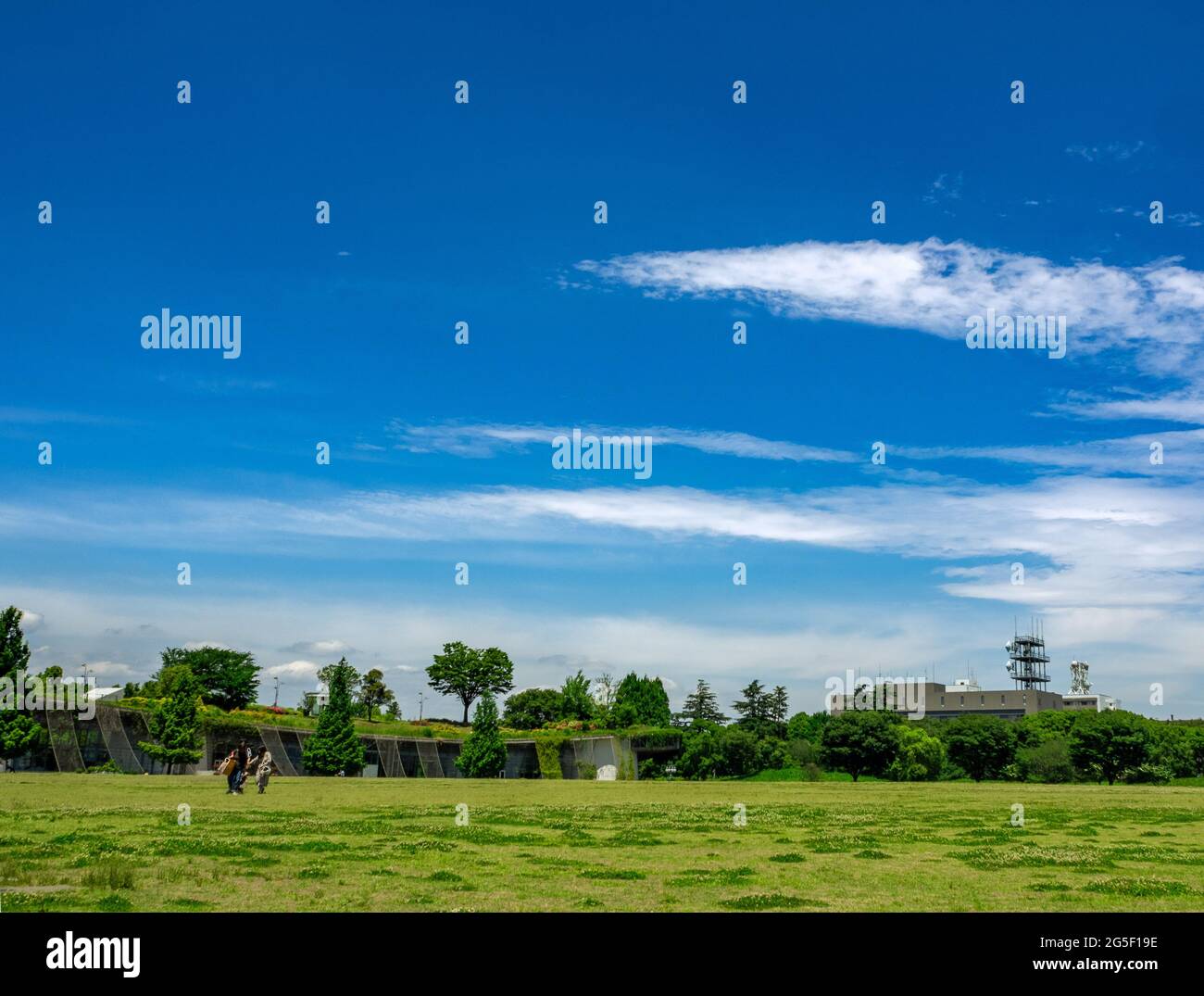 A beautiful scenery in a greenfield in a ranch under a blue sky Stock ...