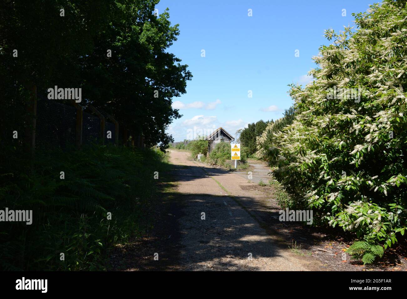 Rendlesham forest ufo landing hi-res stock photography and images - Alamy