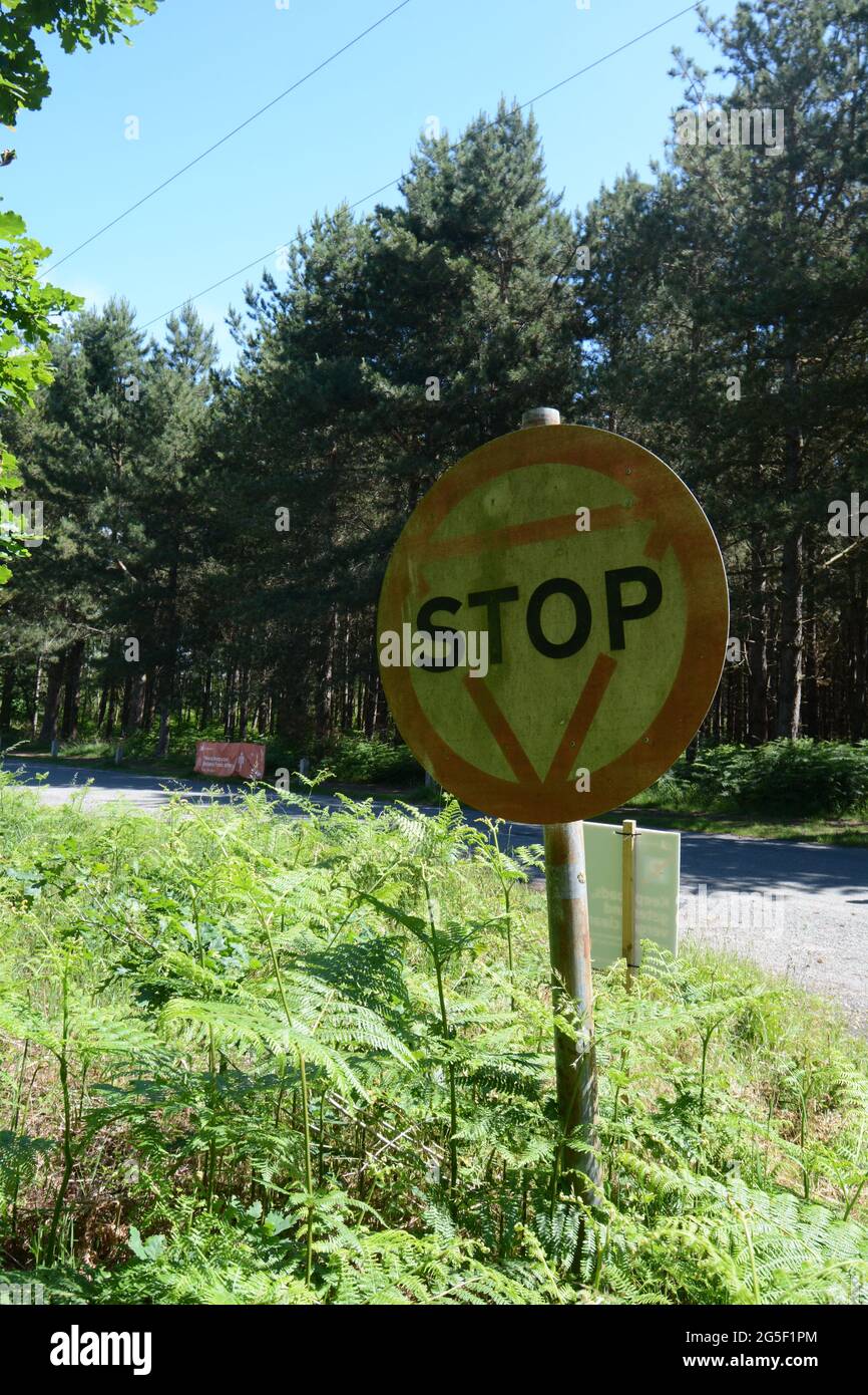Stop sign in Rendlesham Forest UFO sighting at RAF Woodbridge USAF ...