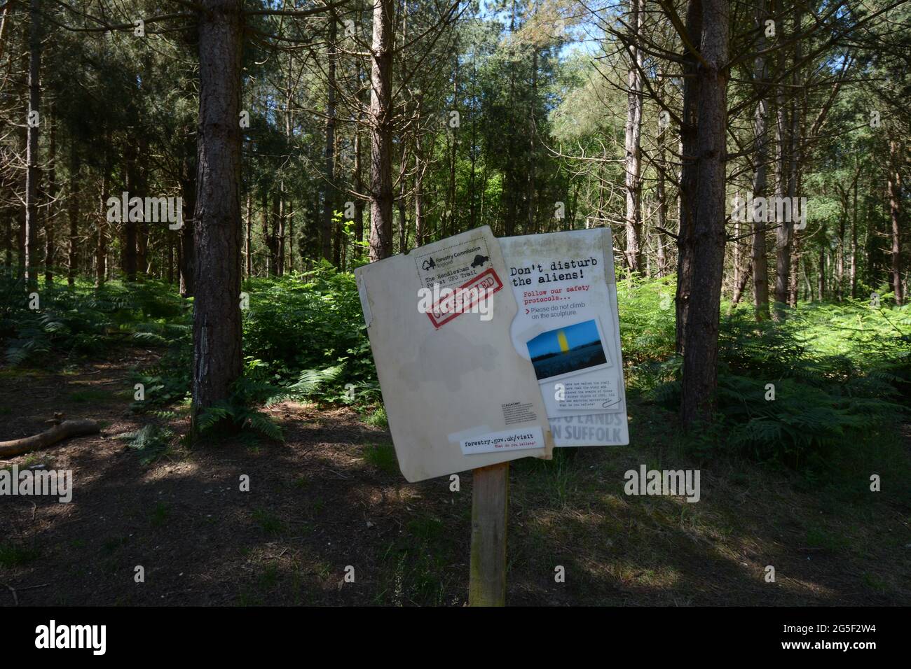 Rendlesham forest incident hi-res stock photography and images - Alamy