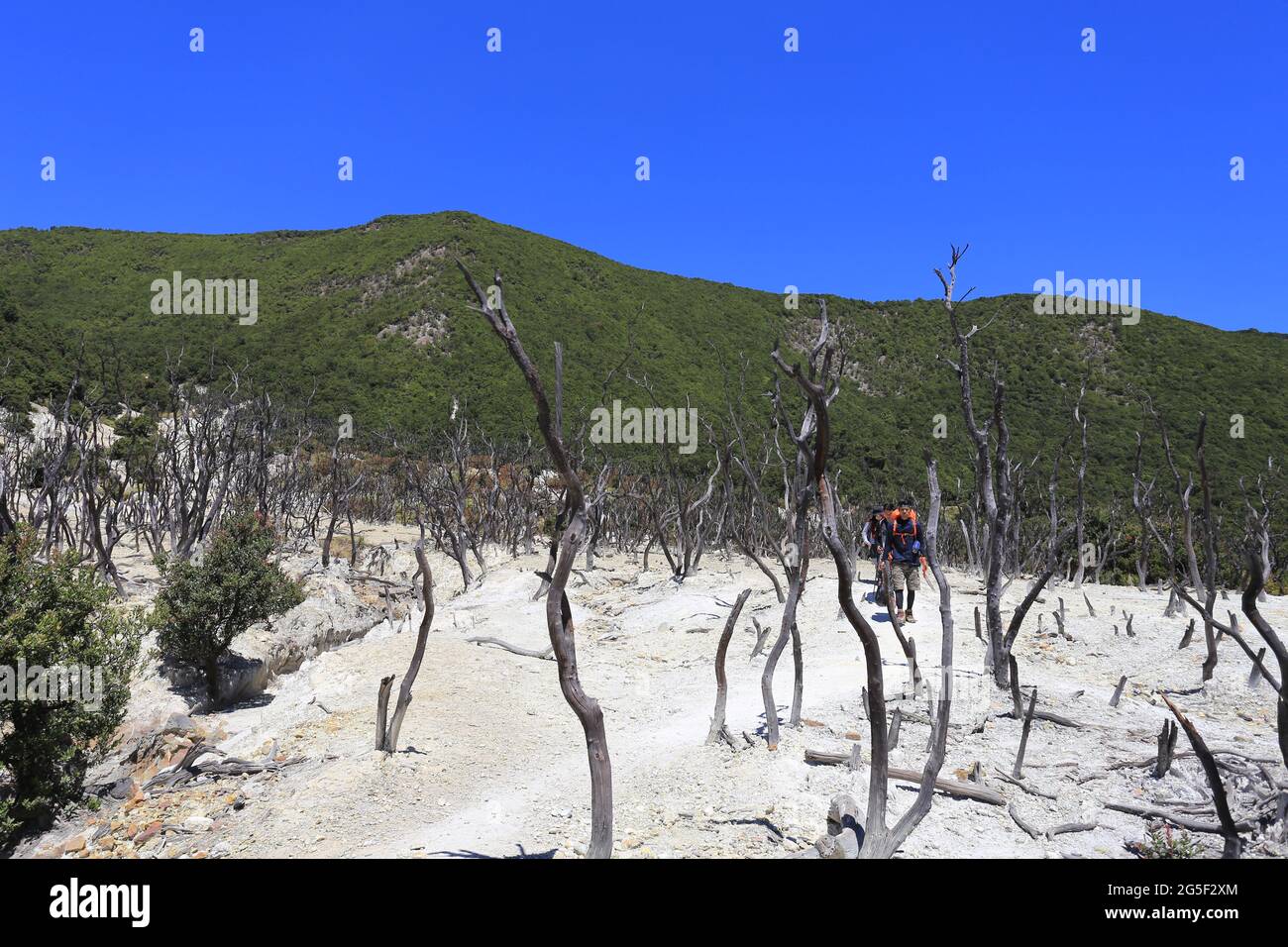 Indonesia active volcano of mountain West Java Stock Photo - Alamy