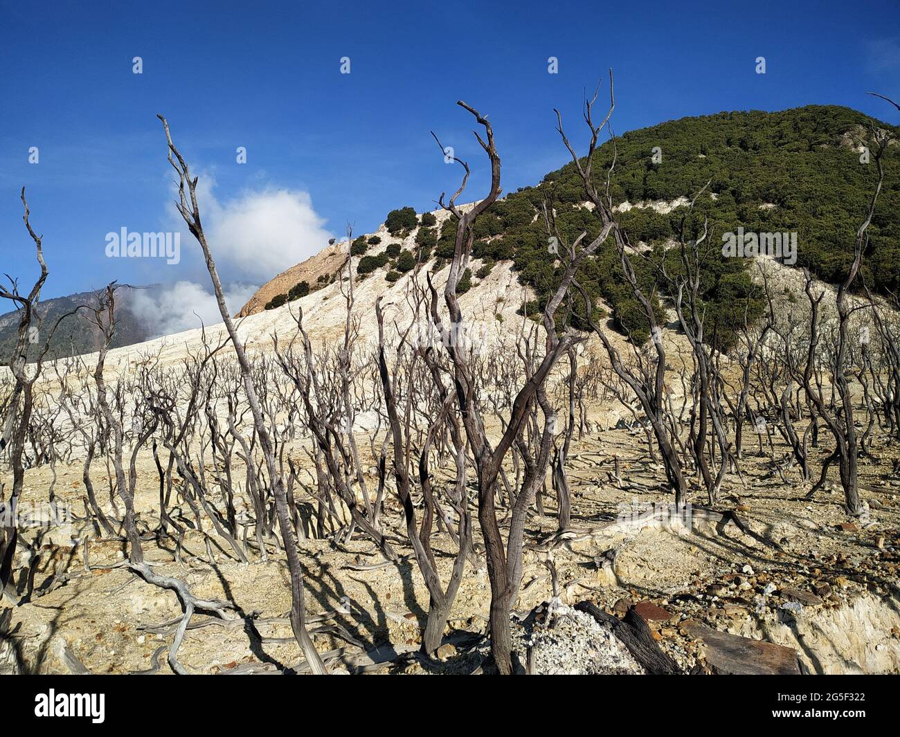 Indonesia active volcano of mountain West Java Stock Photo - Alamy