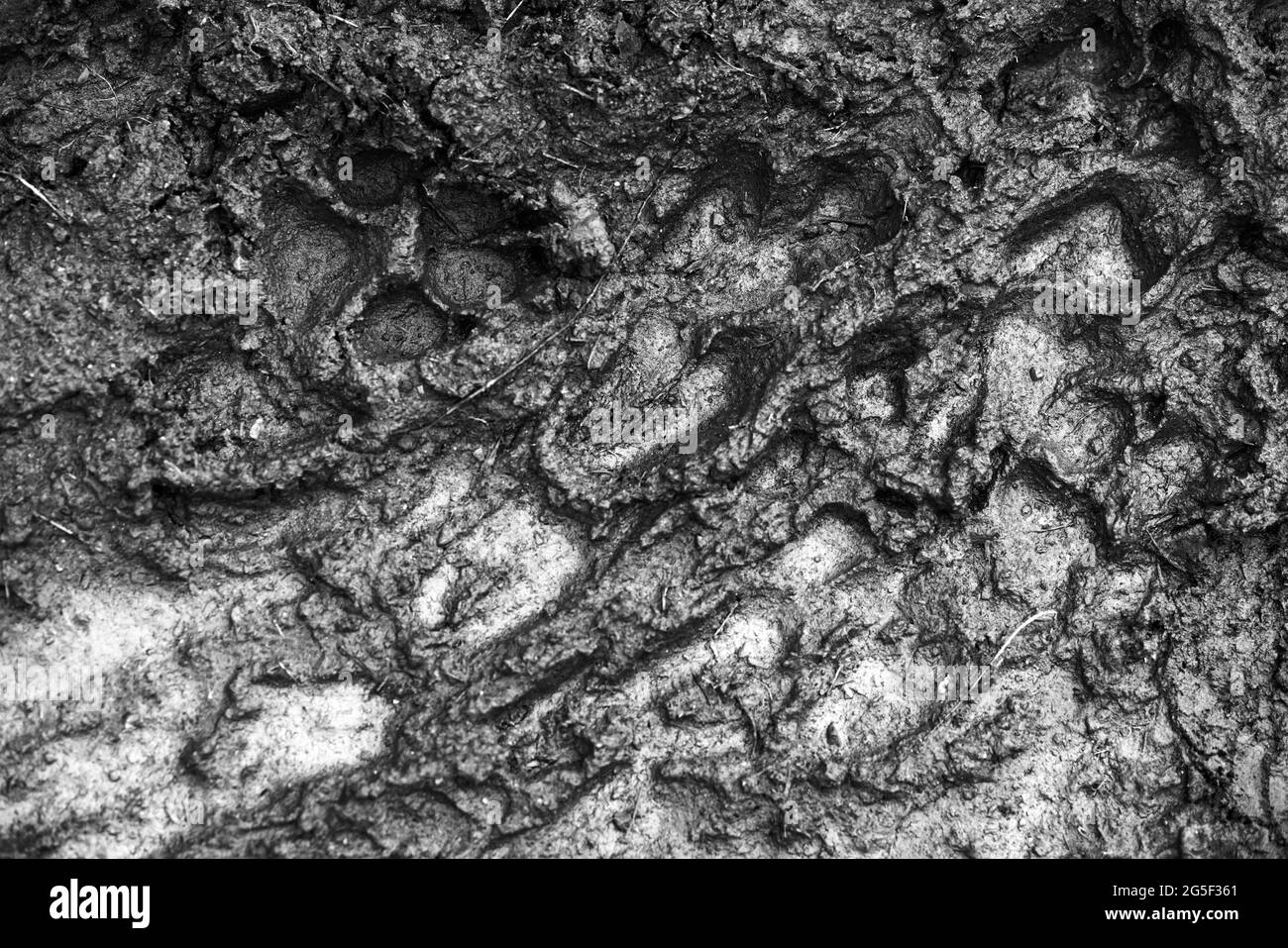 Sheep tracks hi-res stock photography and images - Alamy