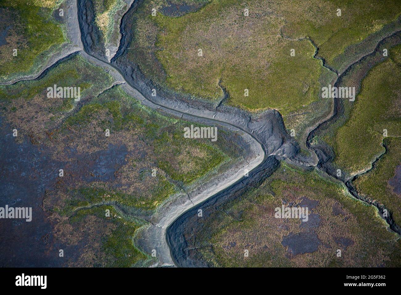 Sediments from the nearby Knik Glacier in Alaska are covered in moss ...