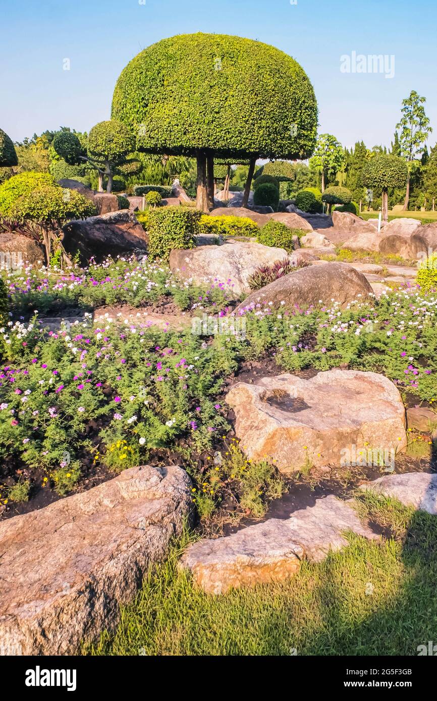 Picturesque Japanese garden.Chinese japanese garden topiary dcoration ...