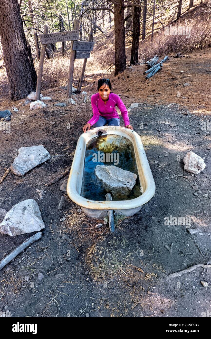 Bathtub Spring on Miller Peak, a water source for the Arizona Trail ...