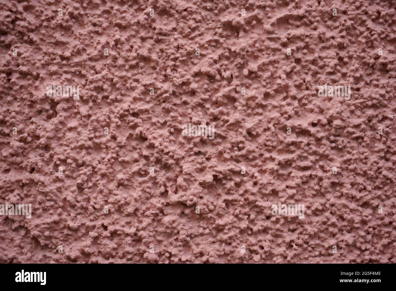 A rough painted pink wall texture with bumps sticking out Stock Photo ...