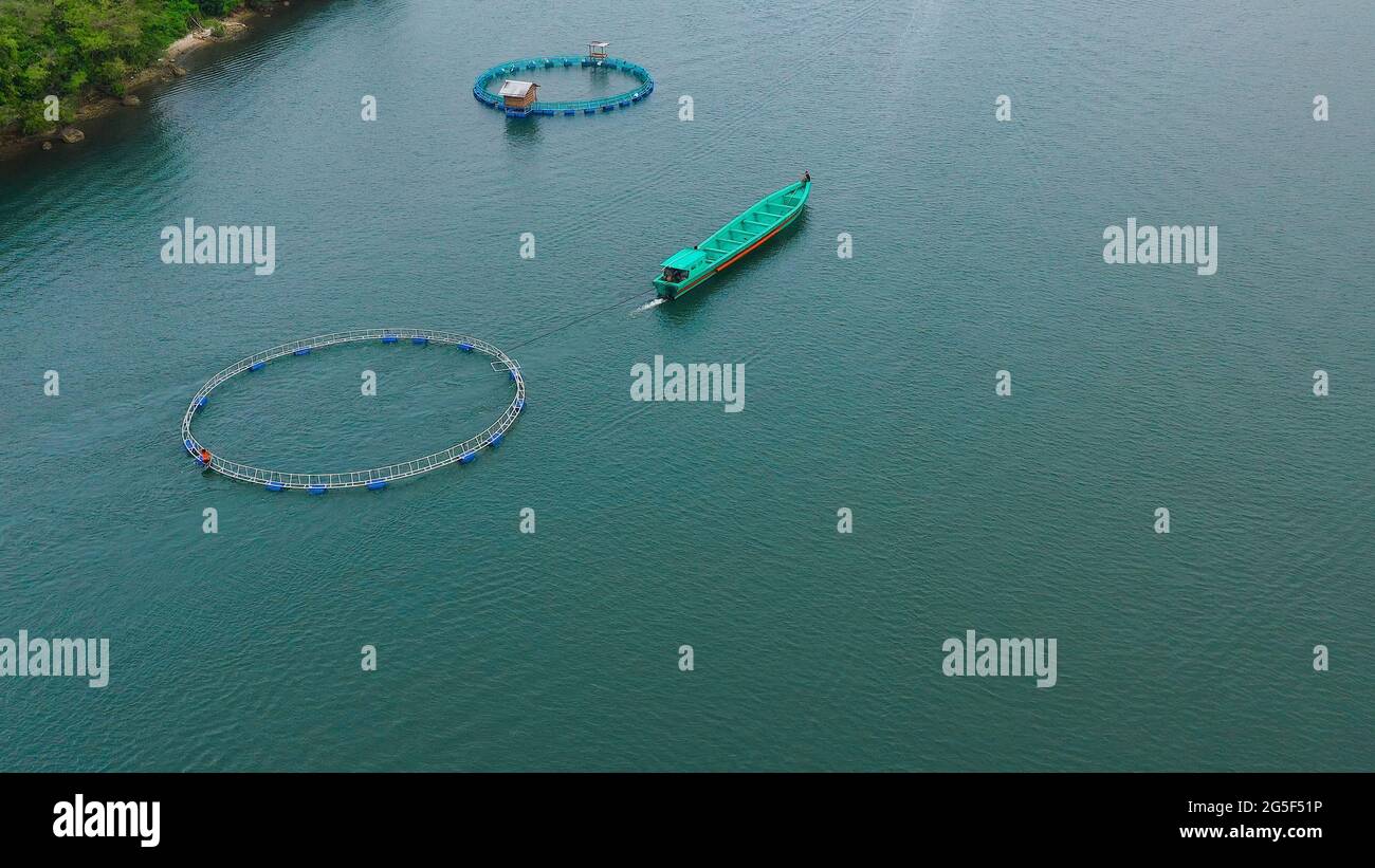 Fishing industry. Fish farming on an industrial scale. Aerial view of ...