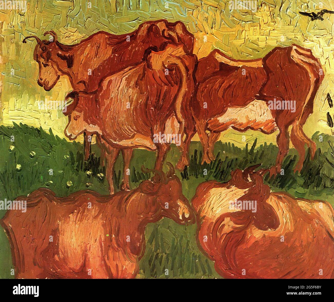 The cows by vincent van gogh hi-res stock photography and images - Alamy