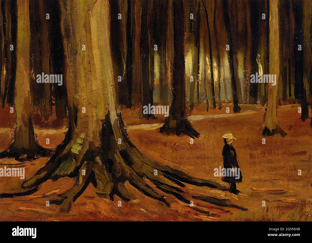 Vincent woods hi-res stock photography and images - Alamy