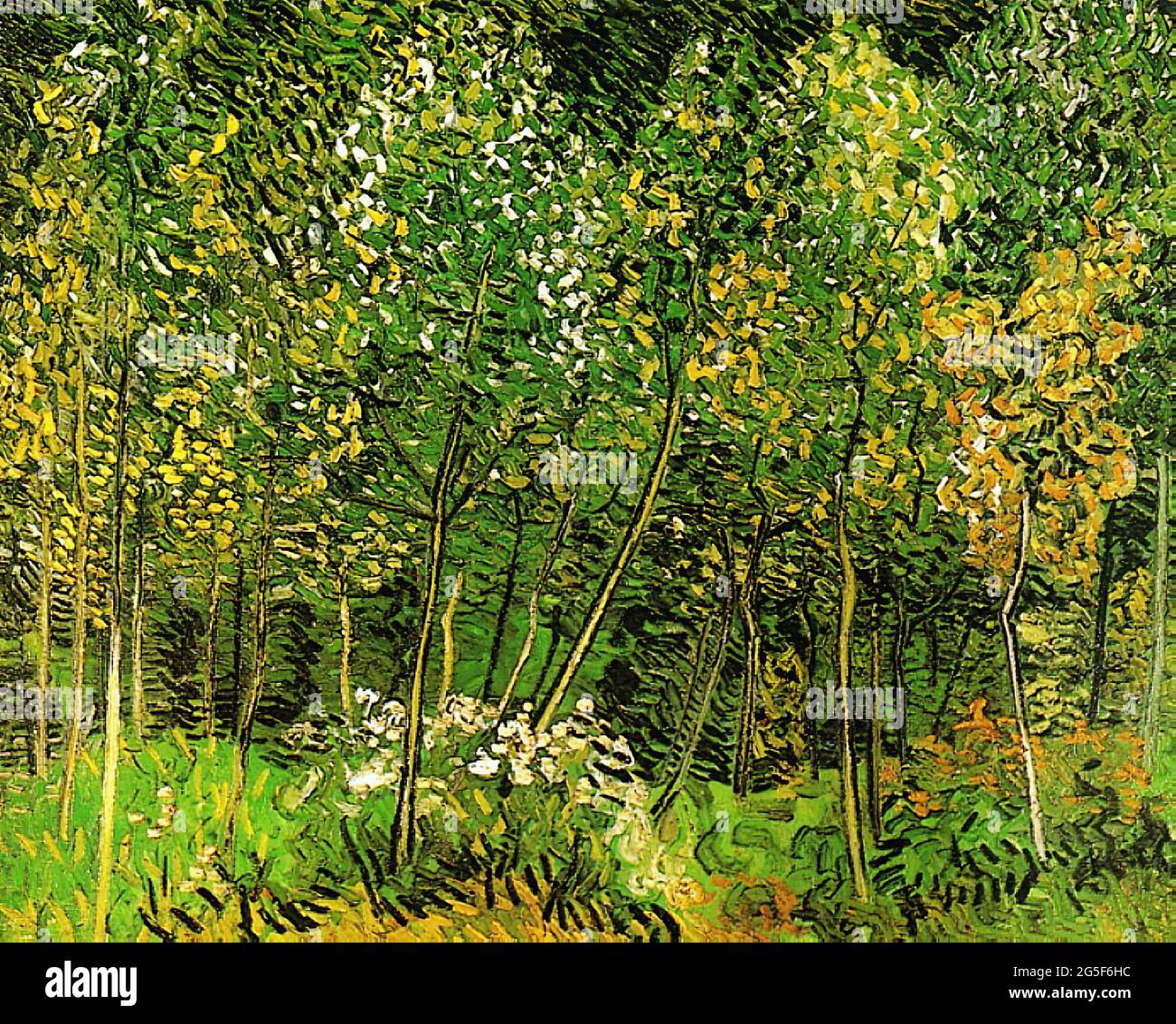 Vincent grove hi-res stock photography and images - Alamy