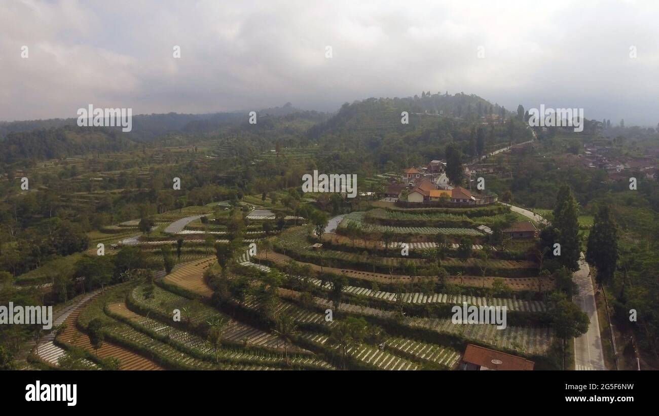 agricultural land in mountains rice terraces, fields with crops, trees ...