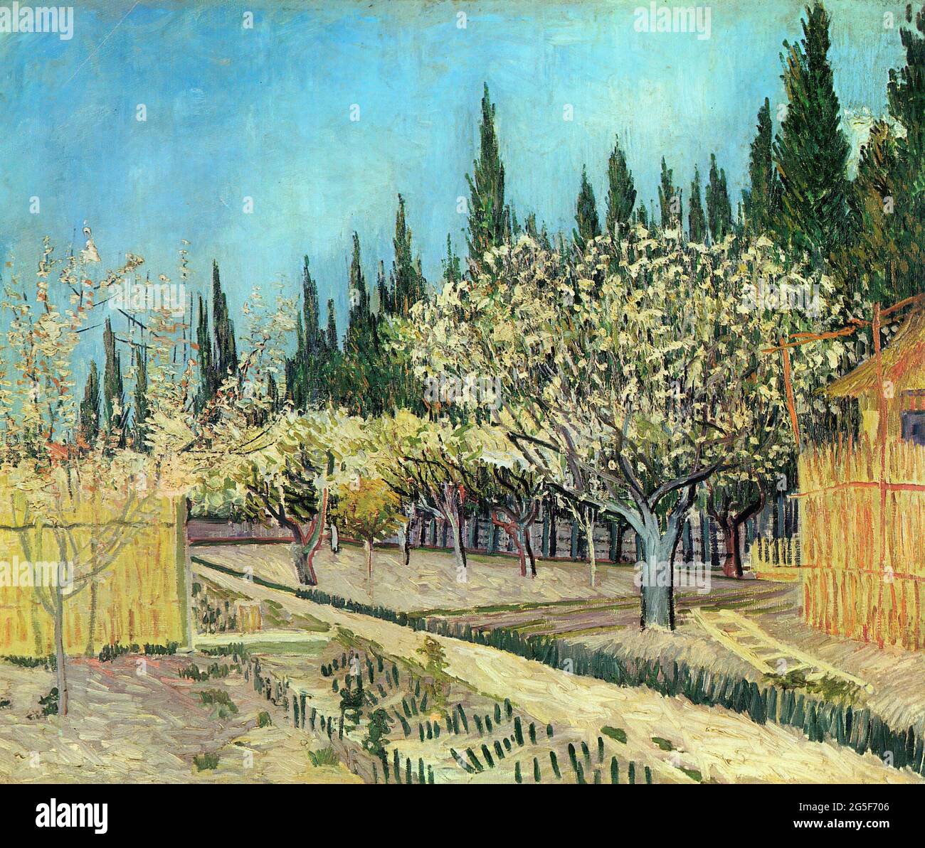 Van gogh orchard with cypresses hi-res stock photography and images - Alamy