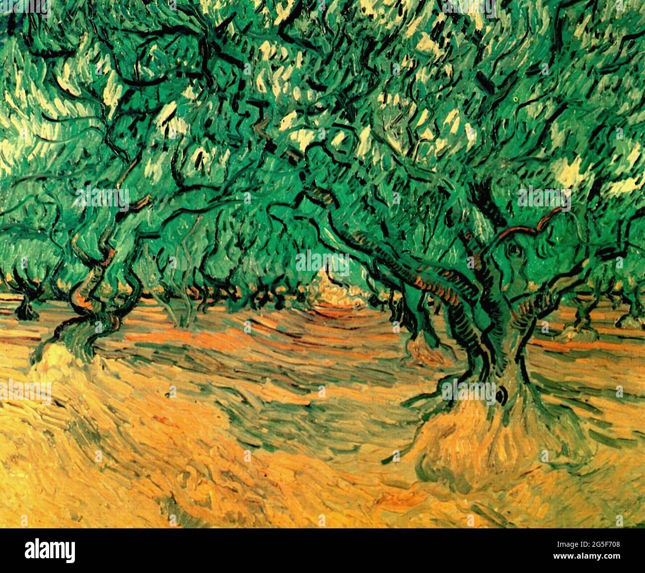 Vincent van gogh, olive trees hi-res stock photography and images - Alamy