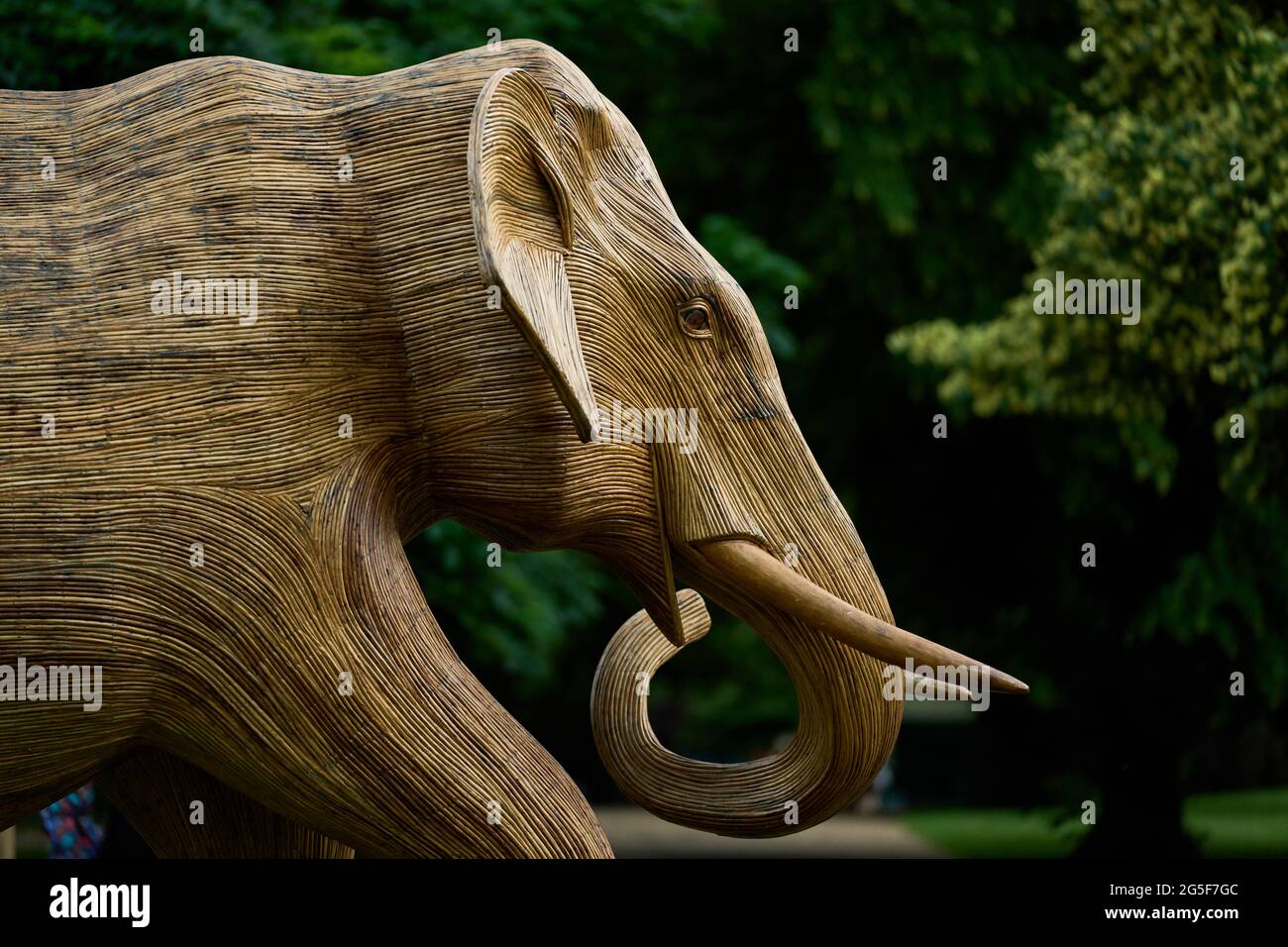 One of a herd of life-size sculptures of Asian elephants on display in ...