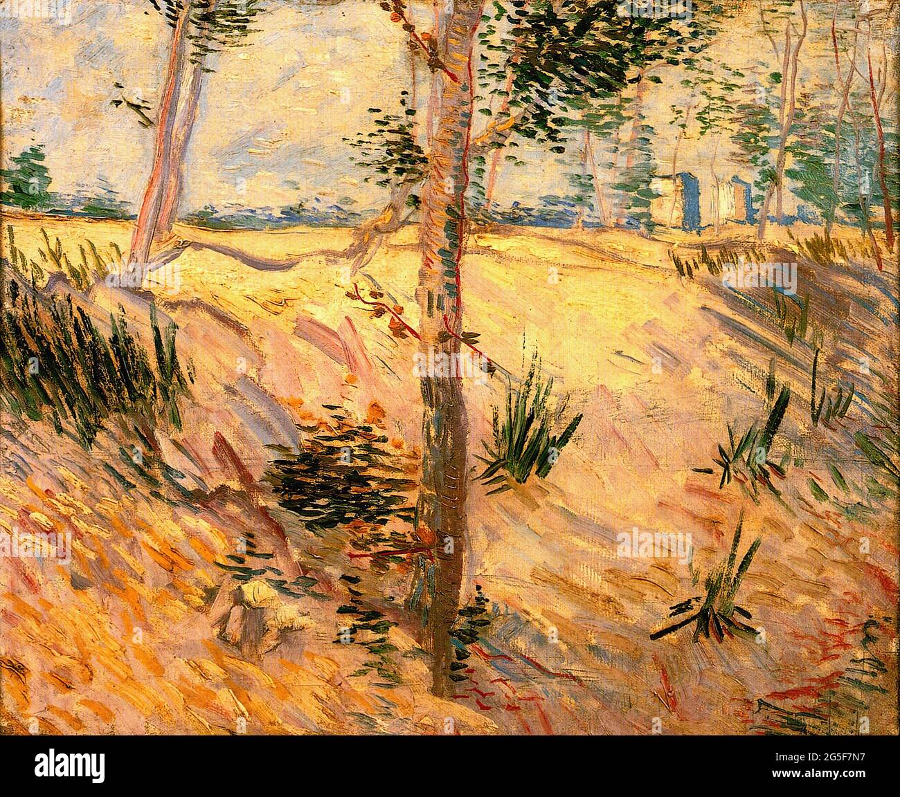 Van gogh trees hi-res stock photography and images - Alamy