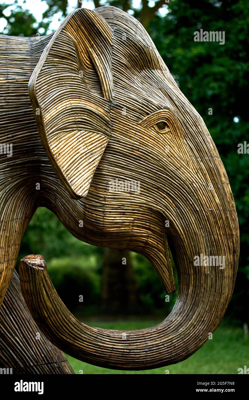 One of a herd of life-size sculptures of Asian elephants on display in ...