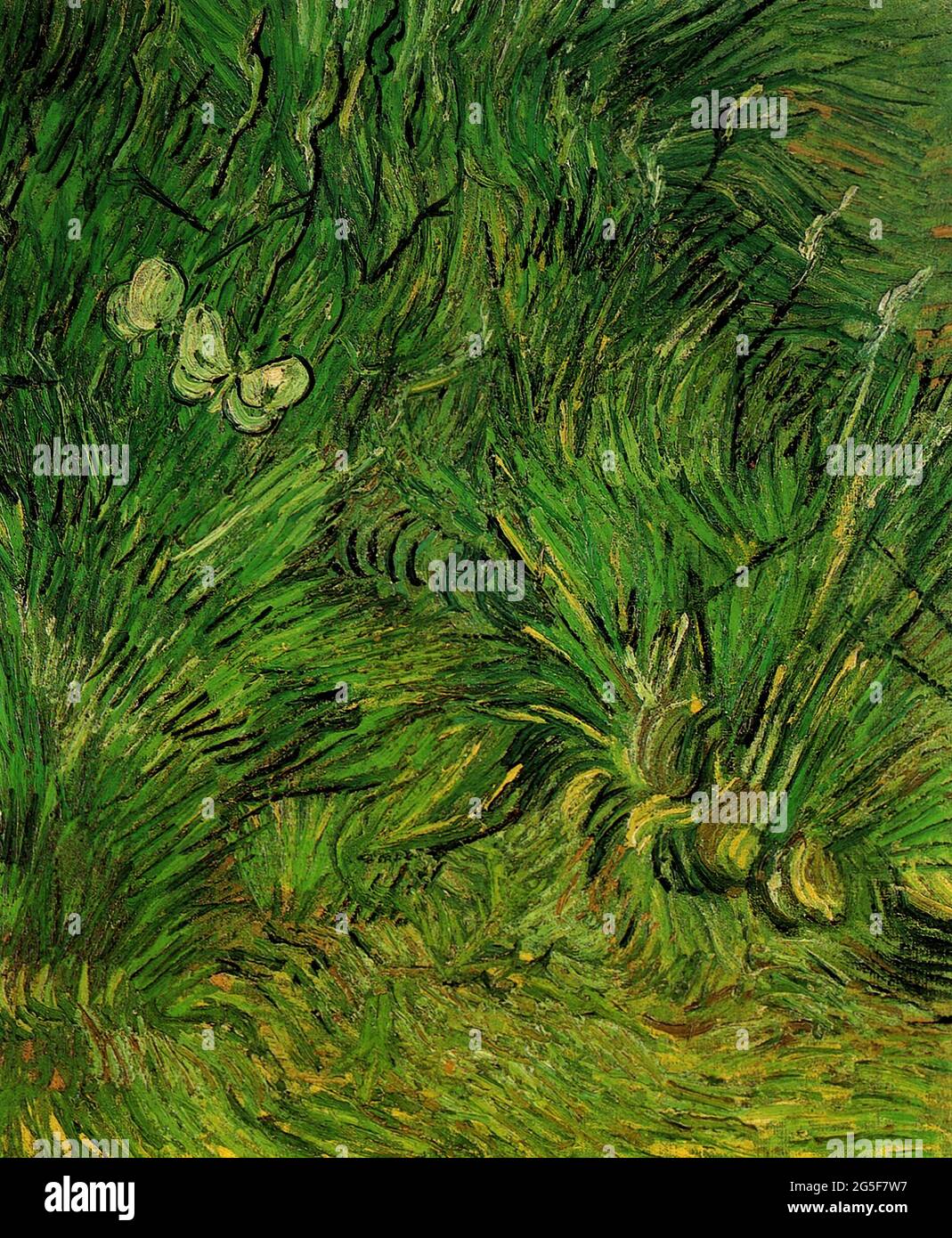Vincent Van Gogh - Two White Butterflies 1889 Stock Photo - Alamy