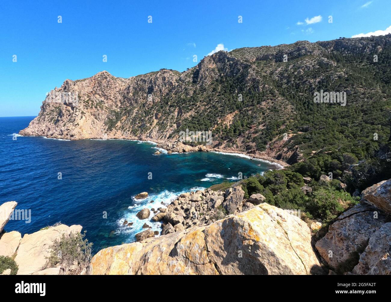 Mediterranean sea fish hi-res stock photography and images - Alamy