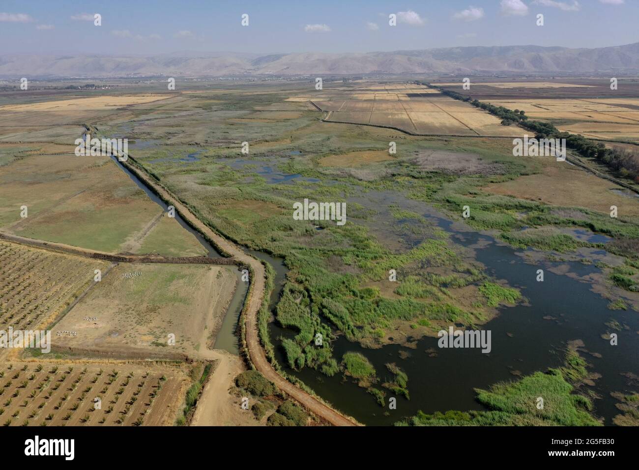 Ammiq wetland reserve Stock Photo - Alamy