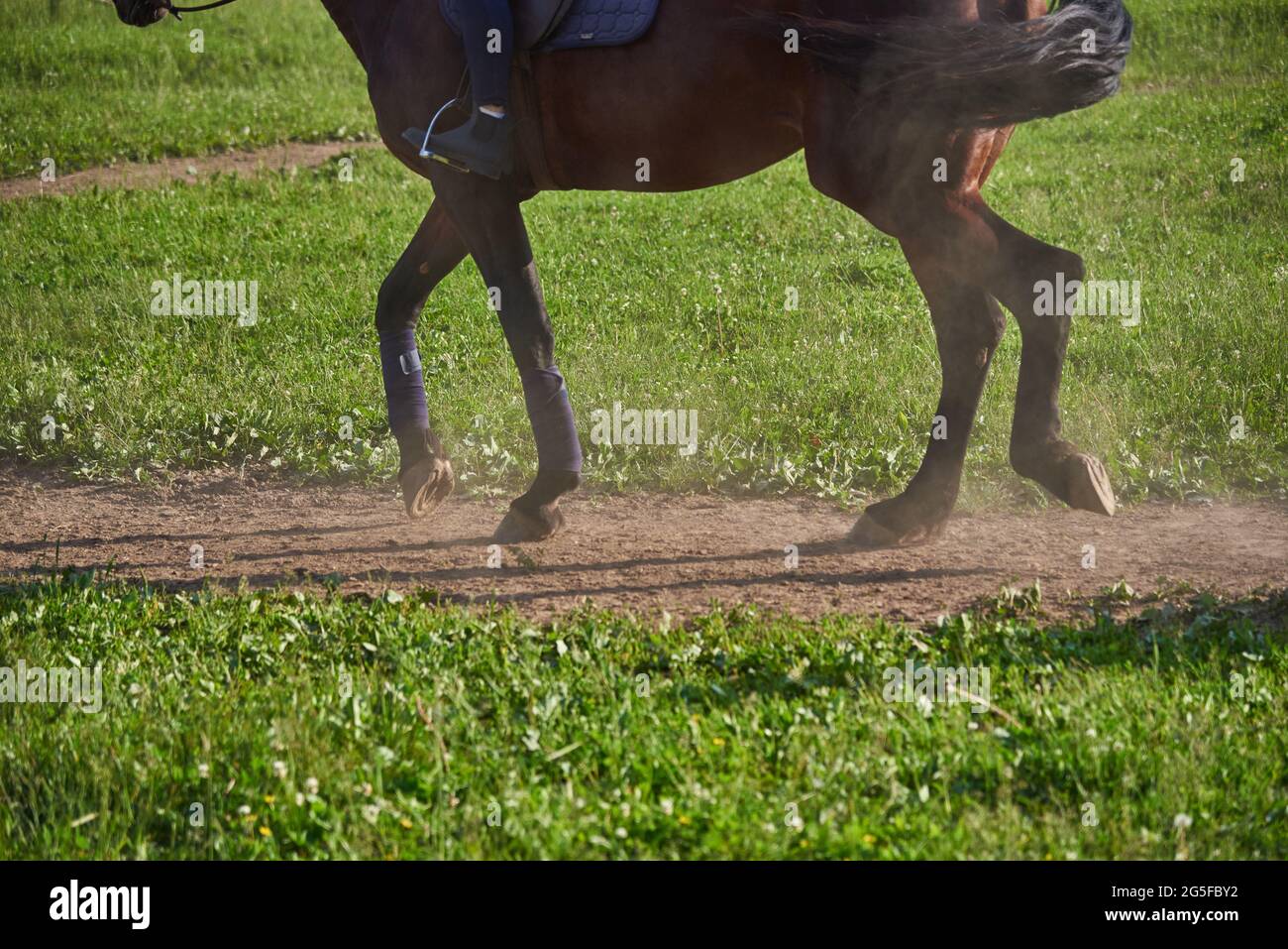 Horse's legs galloping close up hi-res stock photography and images - Alamy