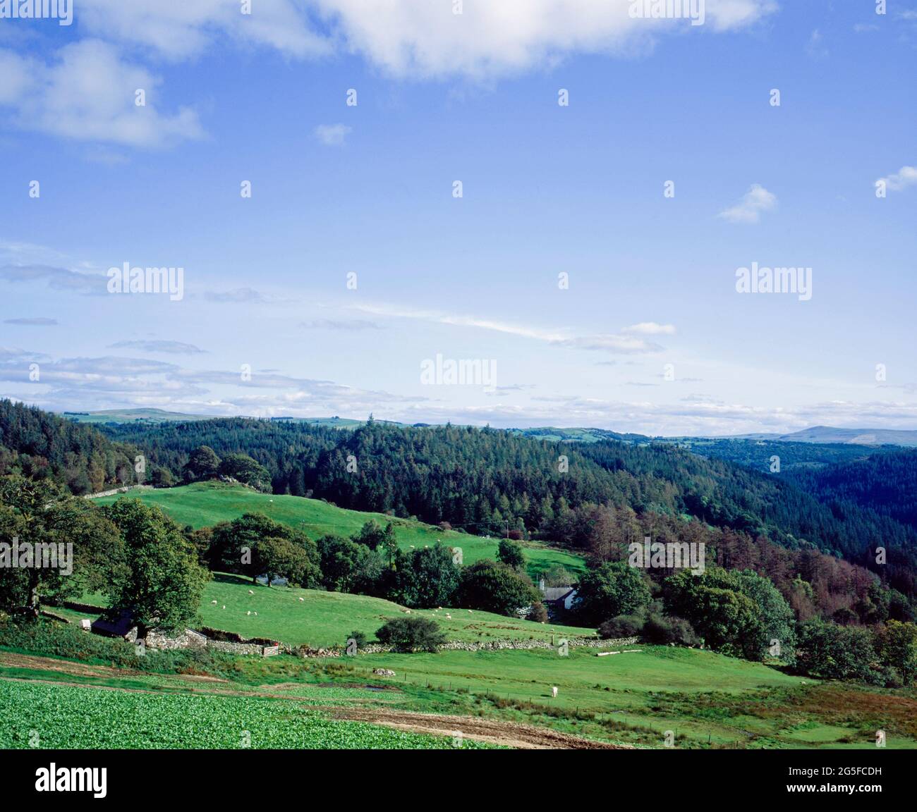 Summer morning in the Conwy Valley Snowdonia North Wales Stock Photo ...