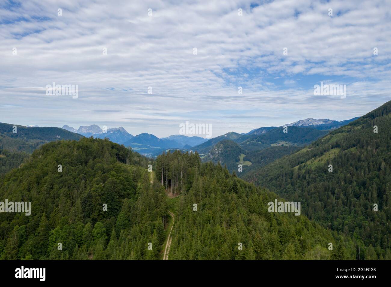 Mountain and forest landscape aerial view in Alps Stock Photo - Alamy