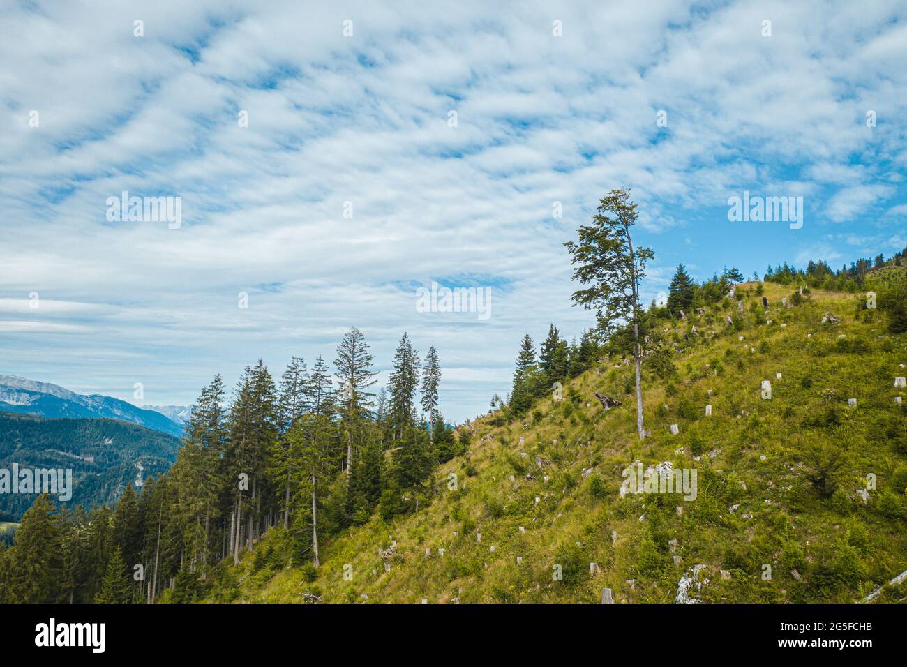 Mountain and forest landscape aerial view in Alps Stock Photo - Alamy
