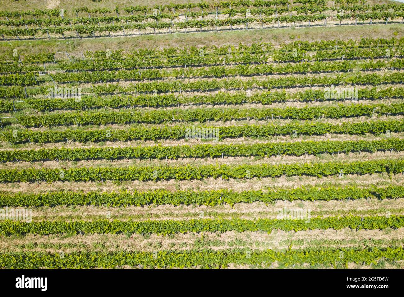 Winery aerial hi-res stock photography and images - Alamy