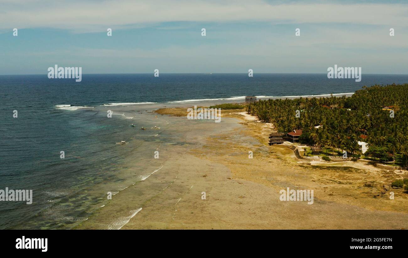 Surf spot with surfers on the waves at sunset on the island of Siargao ...