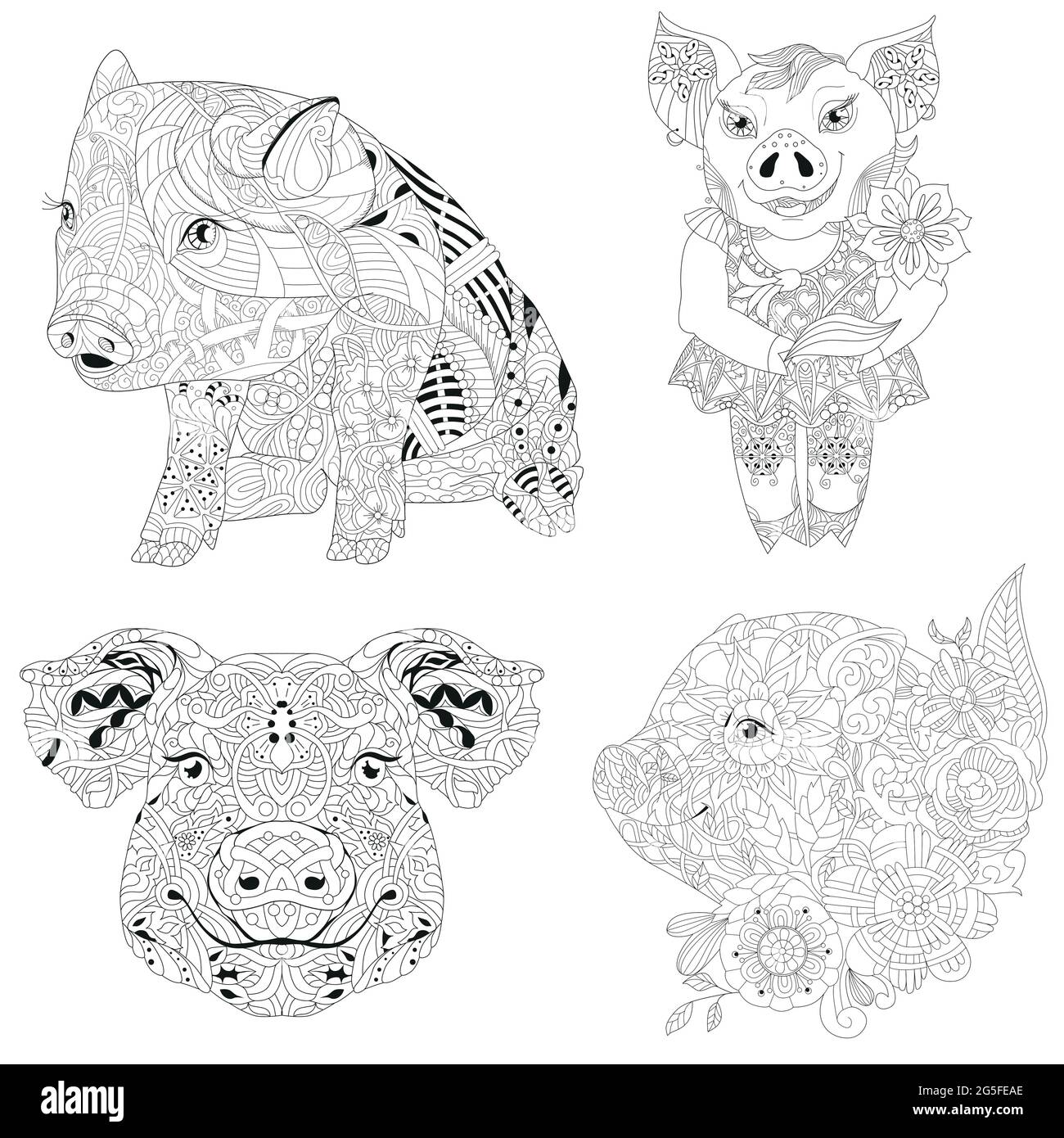 Zentangle illustration with pigs. Zentangle or doodle piglet. Domestic ...