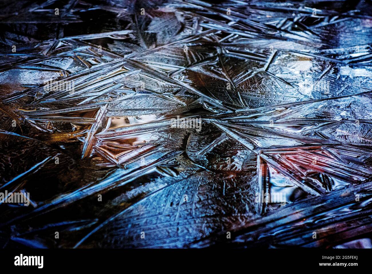 Ice on top of a puddle on Skåtøy Stock Photo - Alamy