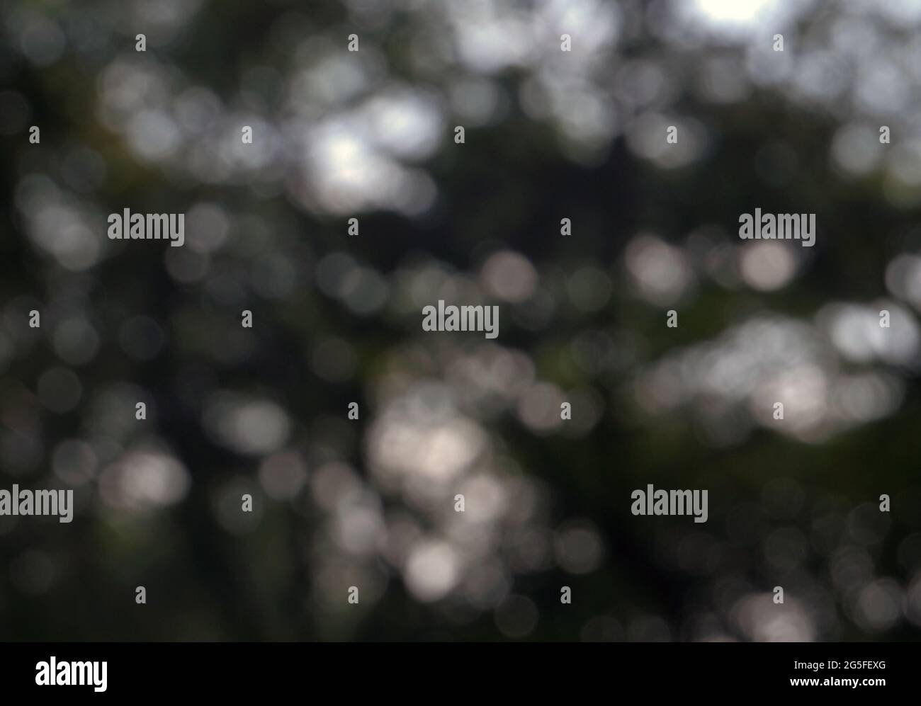 Background dark beauty bokeh hi-res stock photography and images - Alamy