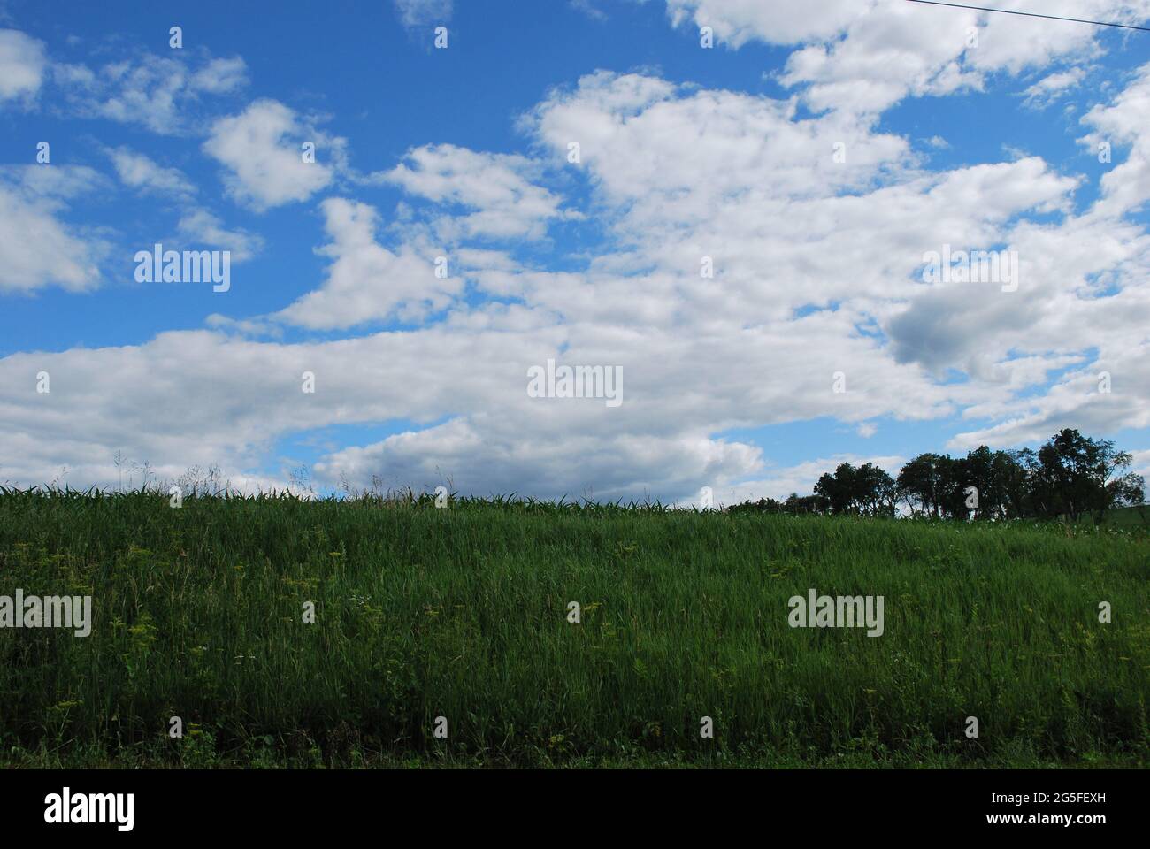 Sunny wisconsin weather hi-res stock photography and images - Alamy