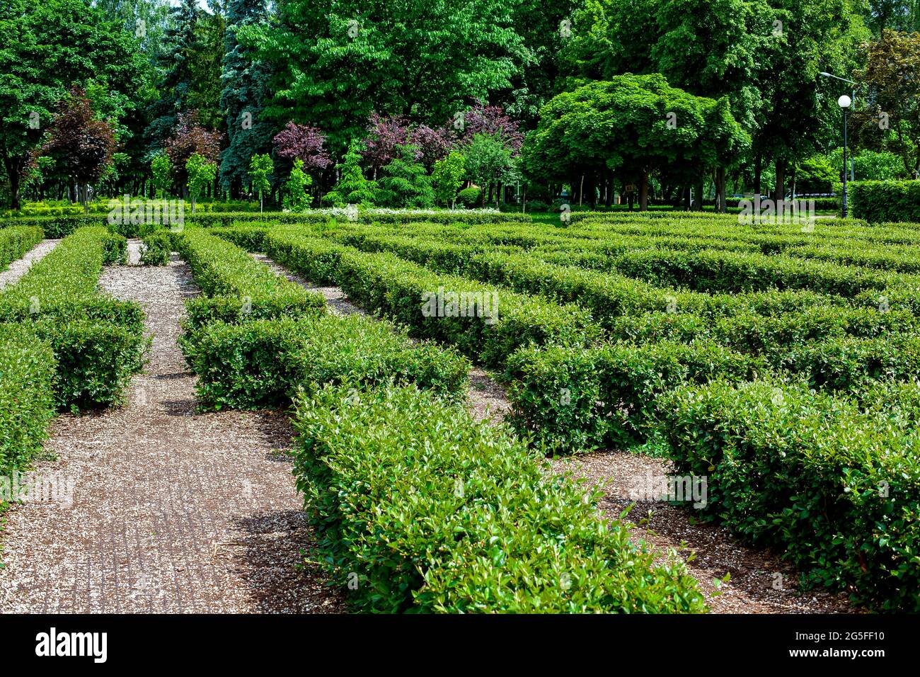 park maze of green bushes in the backyard with pebbled walking trail on ...