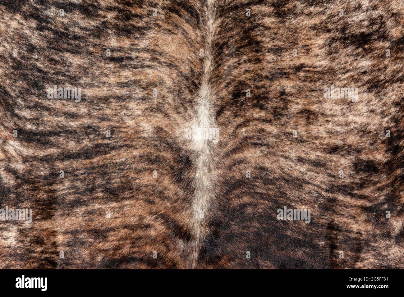 Animal hides clothing hi-res stock photography and images - Alamy