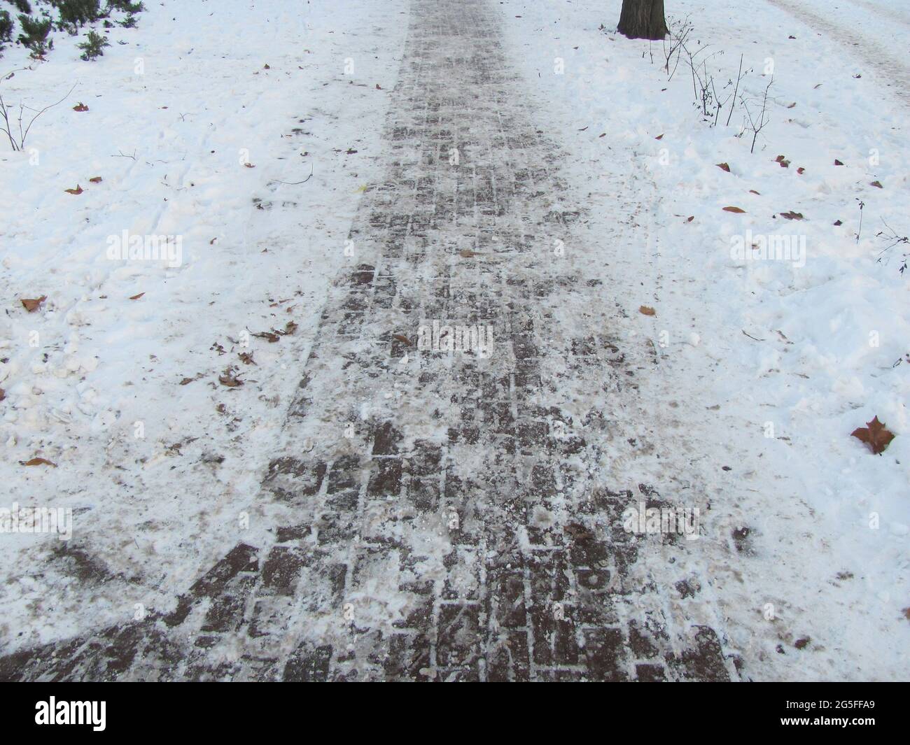 A tiled path in a snow-covered park Stock Photo - Alamy