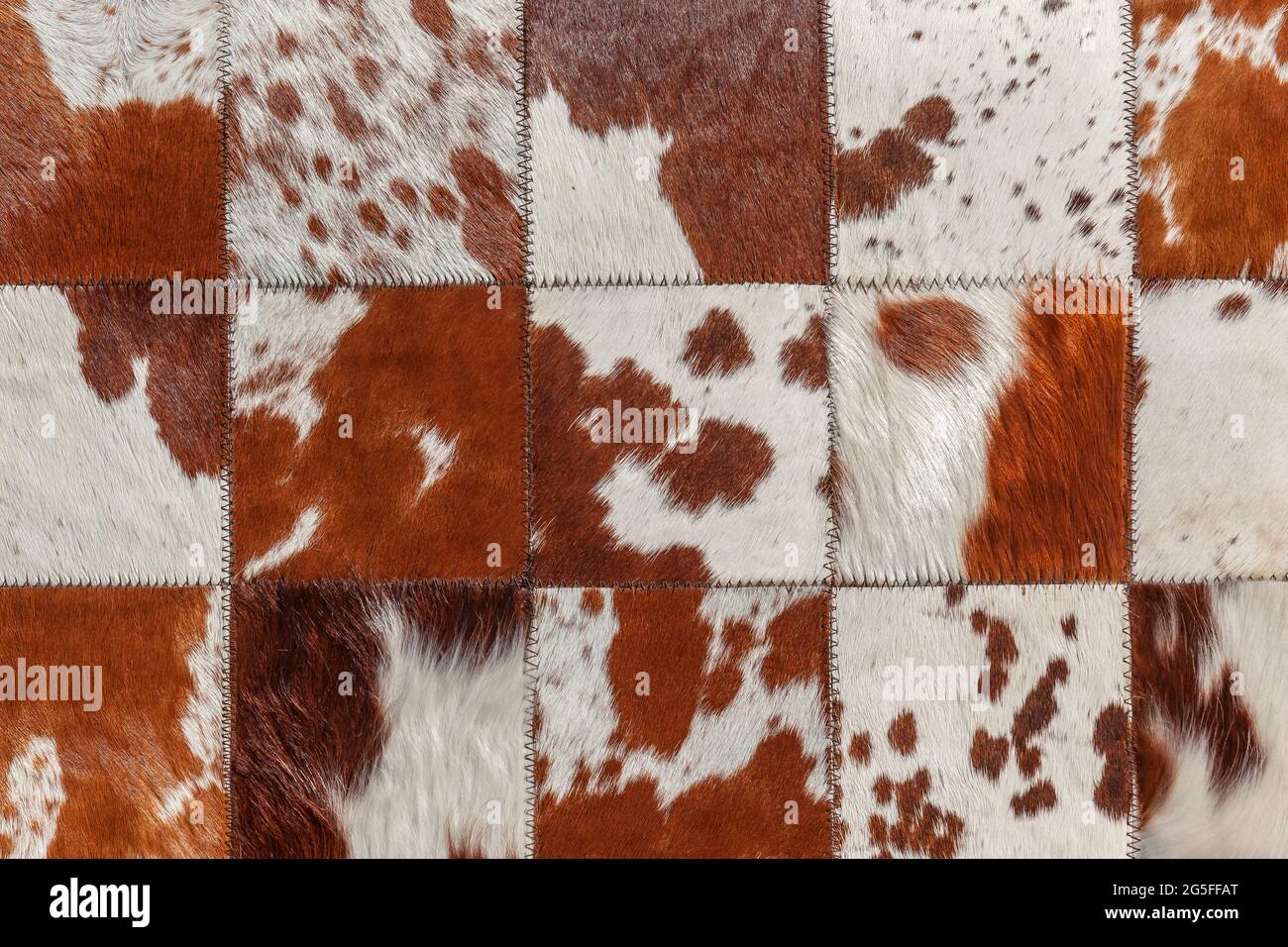 Cattle animal skin hides closeup photo image abstract background detail ...